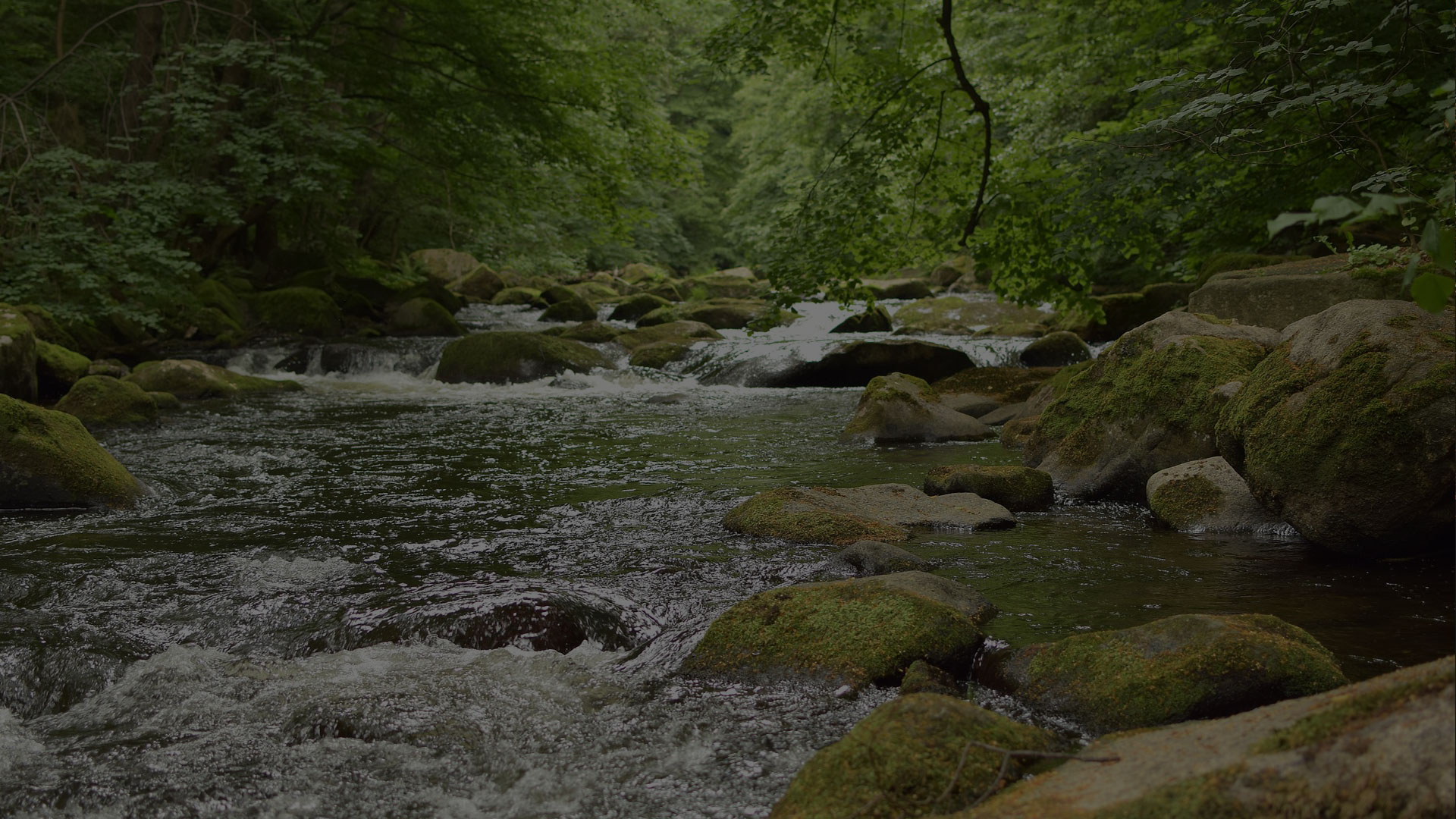 river-flowing-over-rocks - Phelps Chamber of Commerce